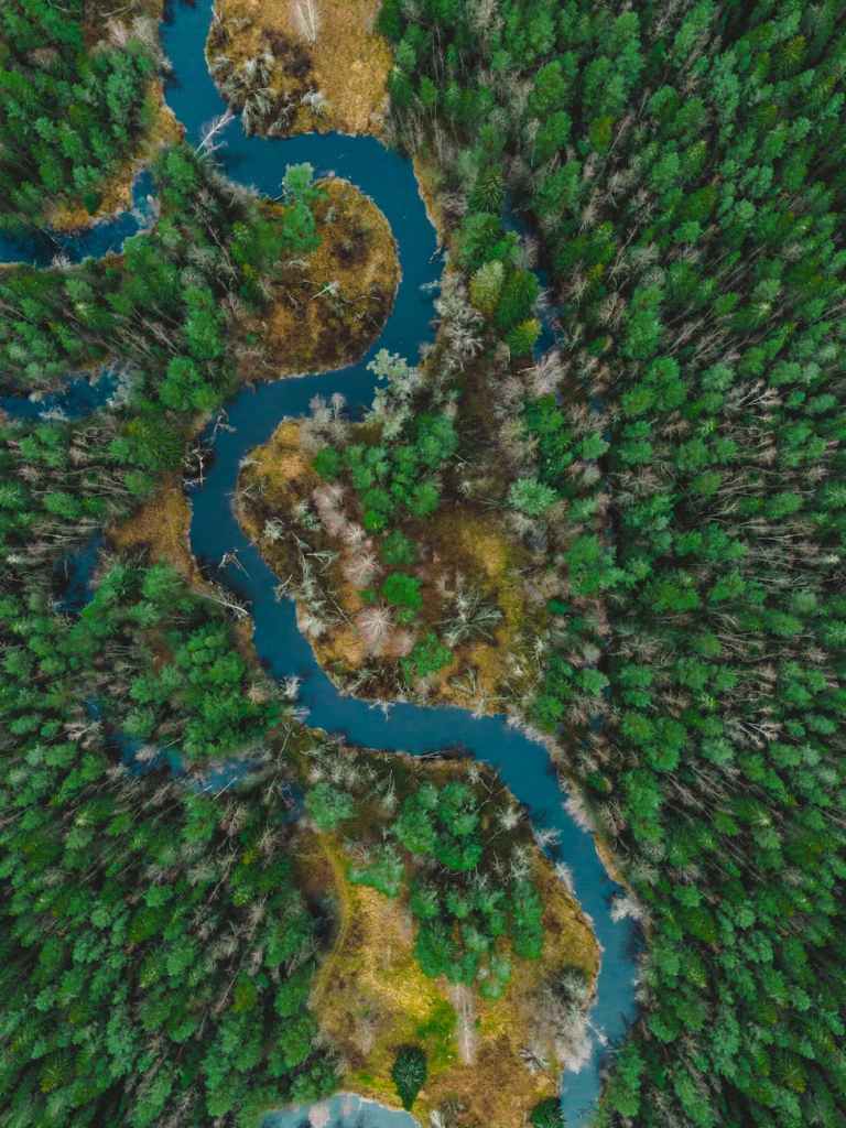 Gravity – Writing RN